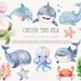 Watercolor Sea Animals Clipart Bundle | Cute Watercolor Ocean Animals ...