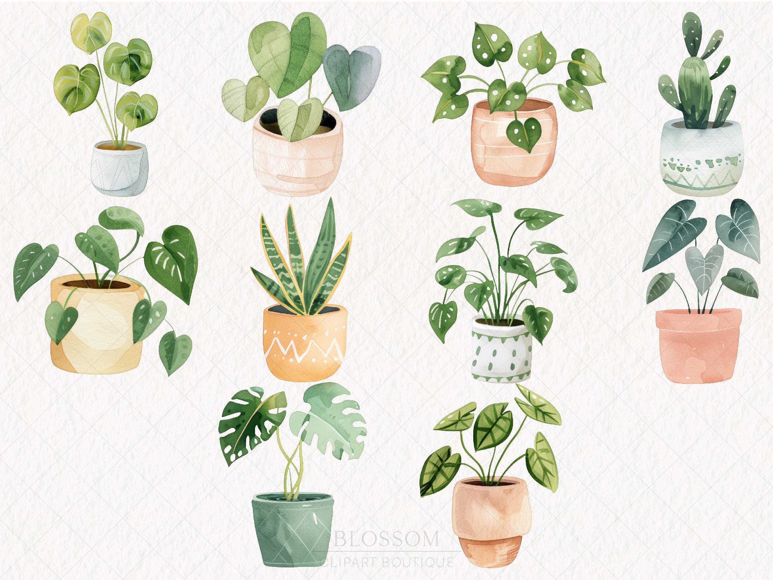 Watercolor Houseplants Clipart Bundle | Potted Plants | Greenery ...