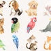 Watercolor Pets Clipart Bundle | Cute Dog and Cat Printables | Digital ...