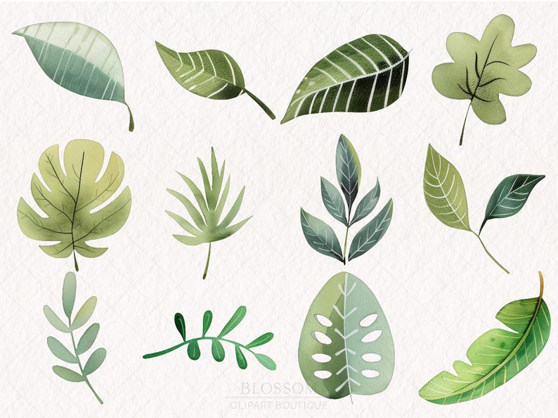Watercolor Clipart Jungle Foliage | Tropical Leaf Graphics | Commercial ...