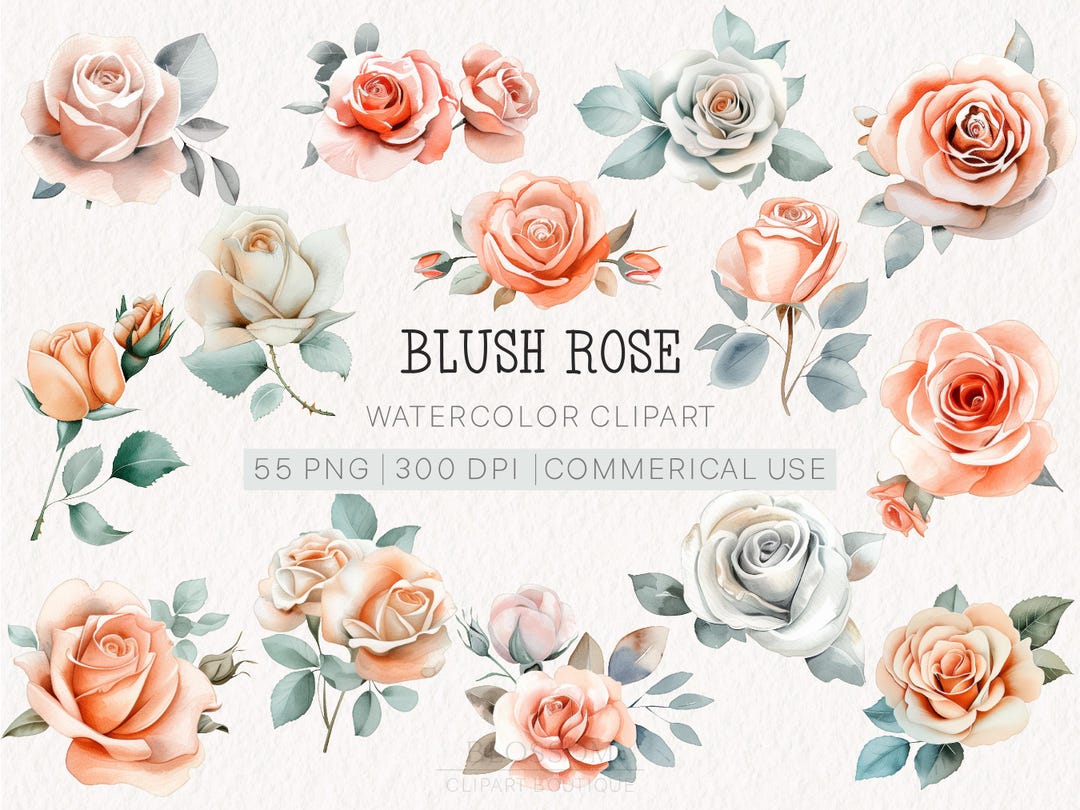 Watercolor Blush Rose Clipart | 55 PNG | Floral Elements | 300 DPI ...