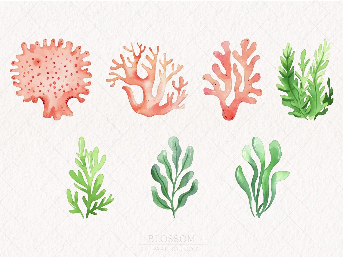 Watercolor Sea Animals Clipart Bundle | Cute Watercolor Ocean Animals ...