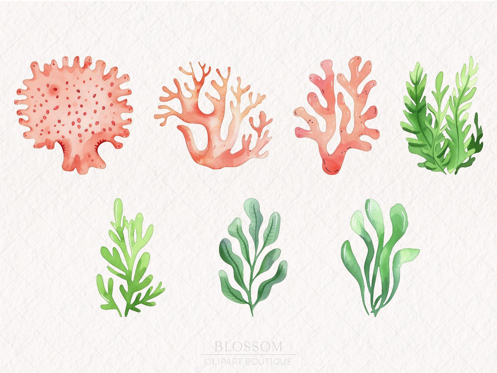 Watercolor Sea Animals Clipart Bundle | Cute Watercolor Ocean Animals ...
