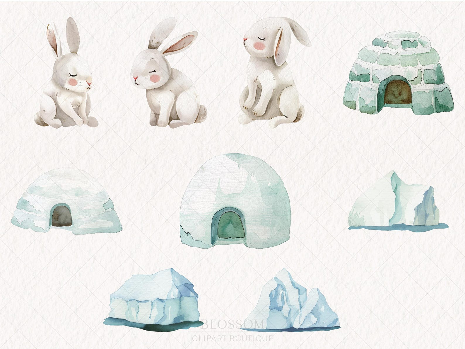 Watercolor Clipart Arctic Animals Set | Cute Polar Wildlife ...