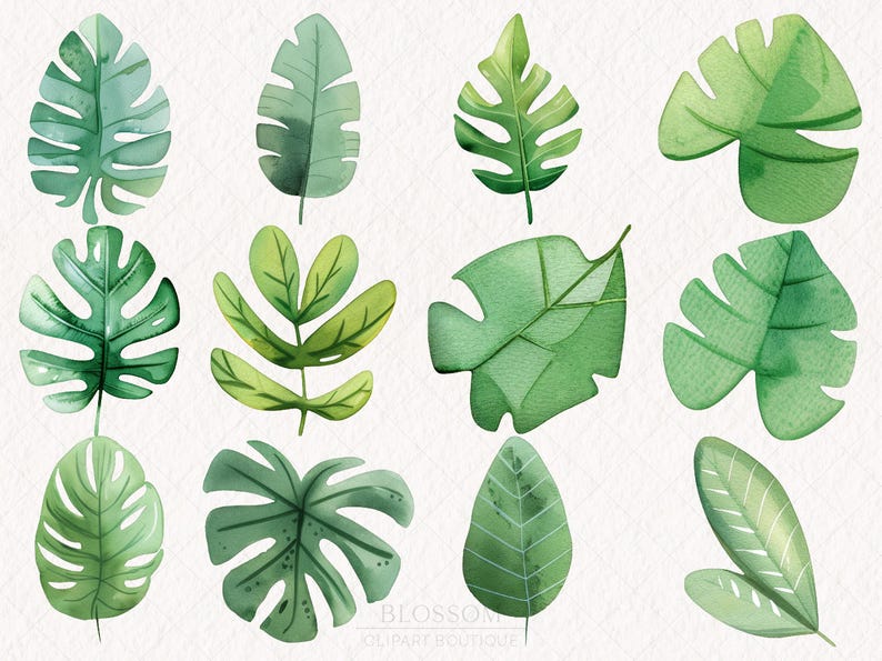 Watercolor Clipart Jungle Foliage | Tropical Leaf Graphics | Commercial ...