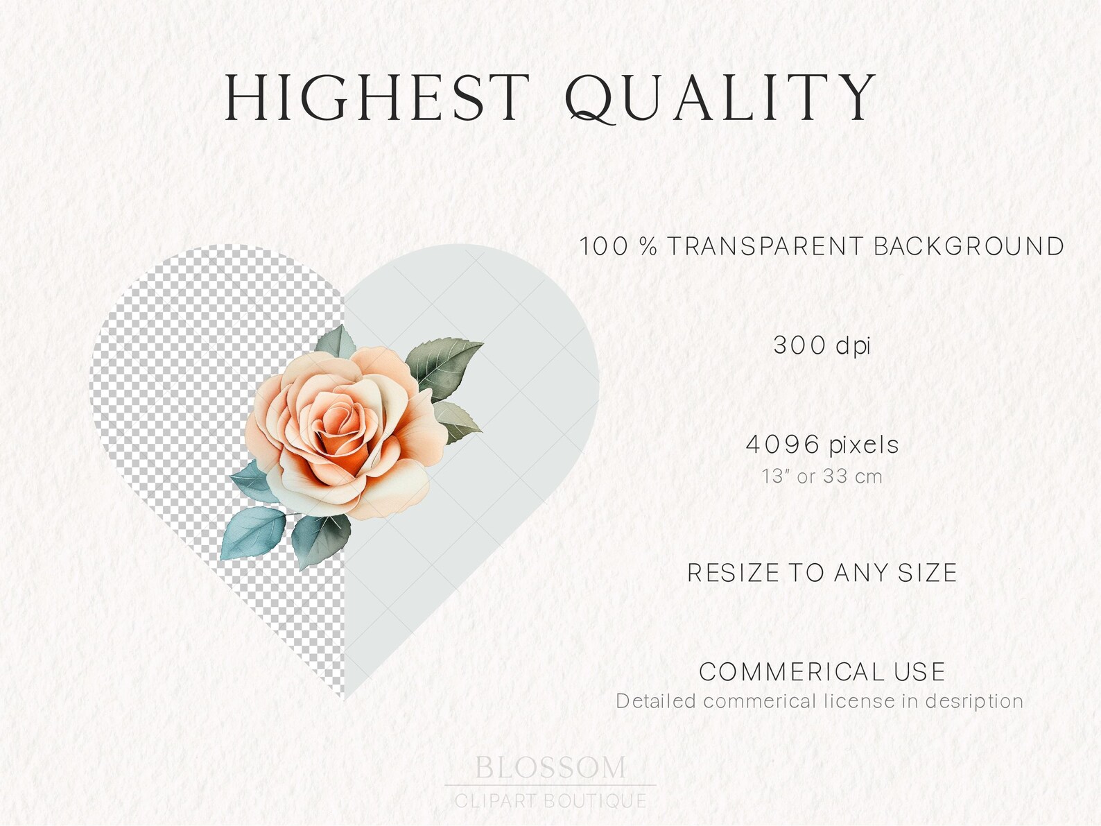 Watercolor Blush Rose Clipart | 55 PNG | Floral Elements | 300 DPI ...