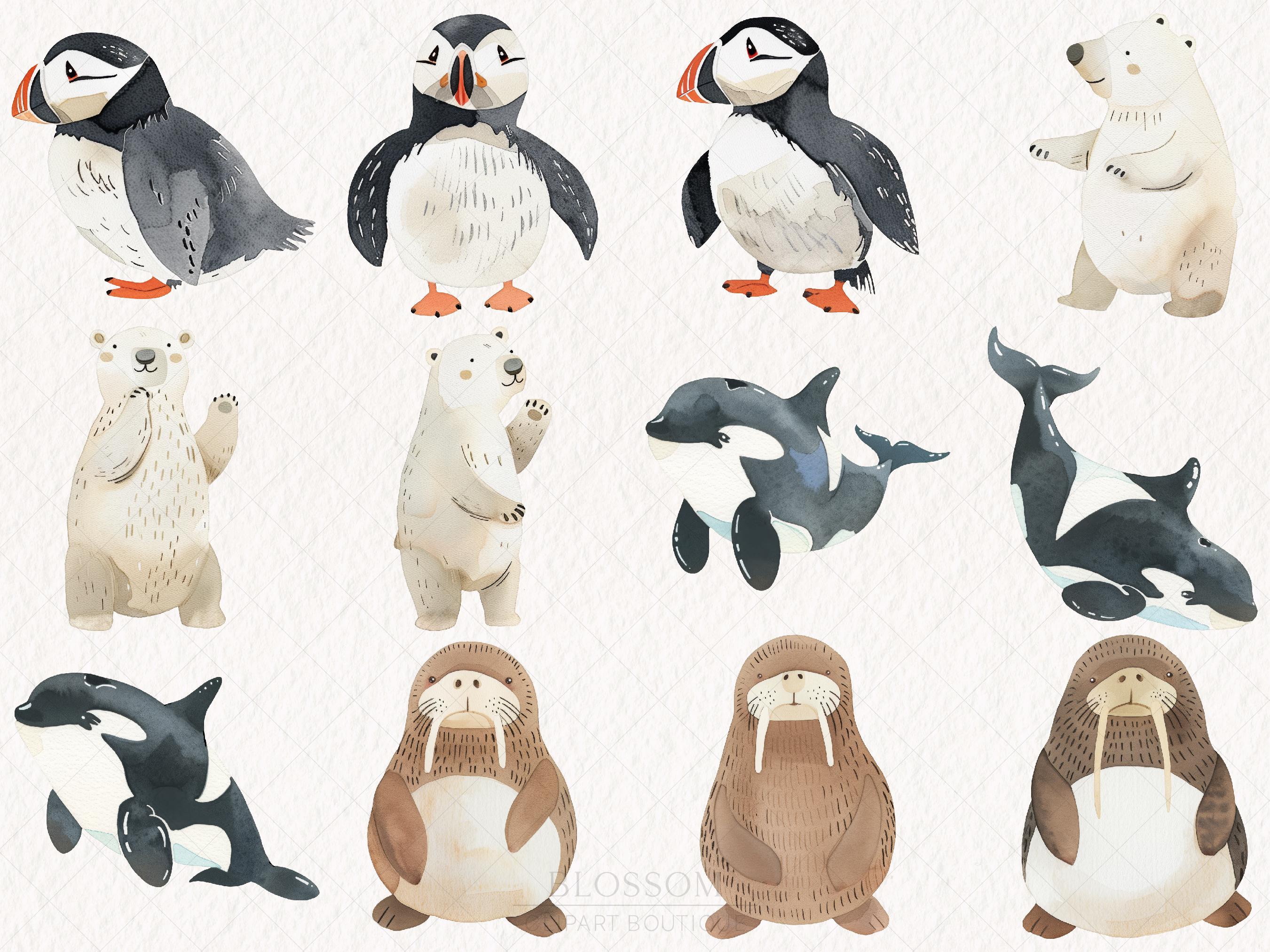 Watercolor Clipart Arctic Animals Set | Cute Polar Wildlife ...