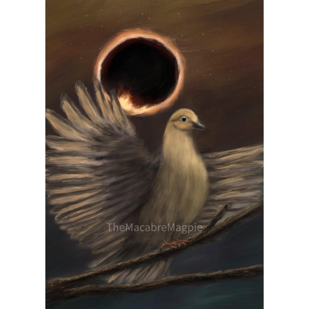 Mourning Dove Eclipse Fine Art Print Bird Art Gothic Bird Art Dark Bird ...