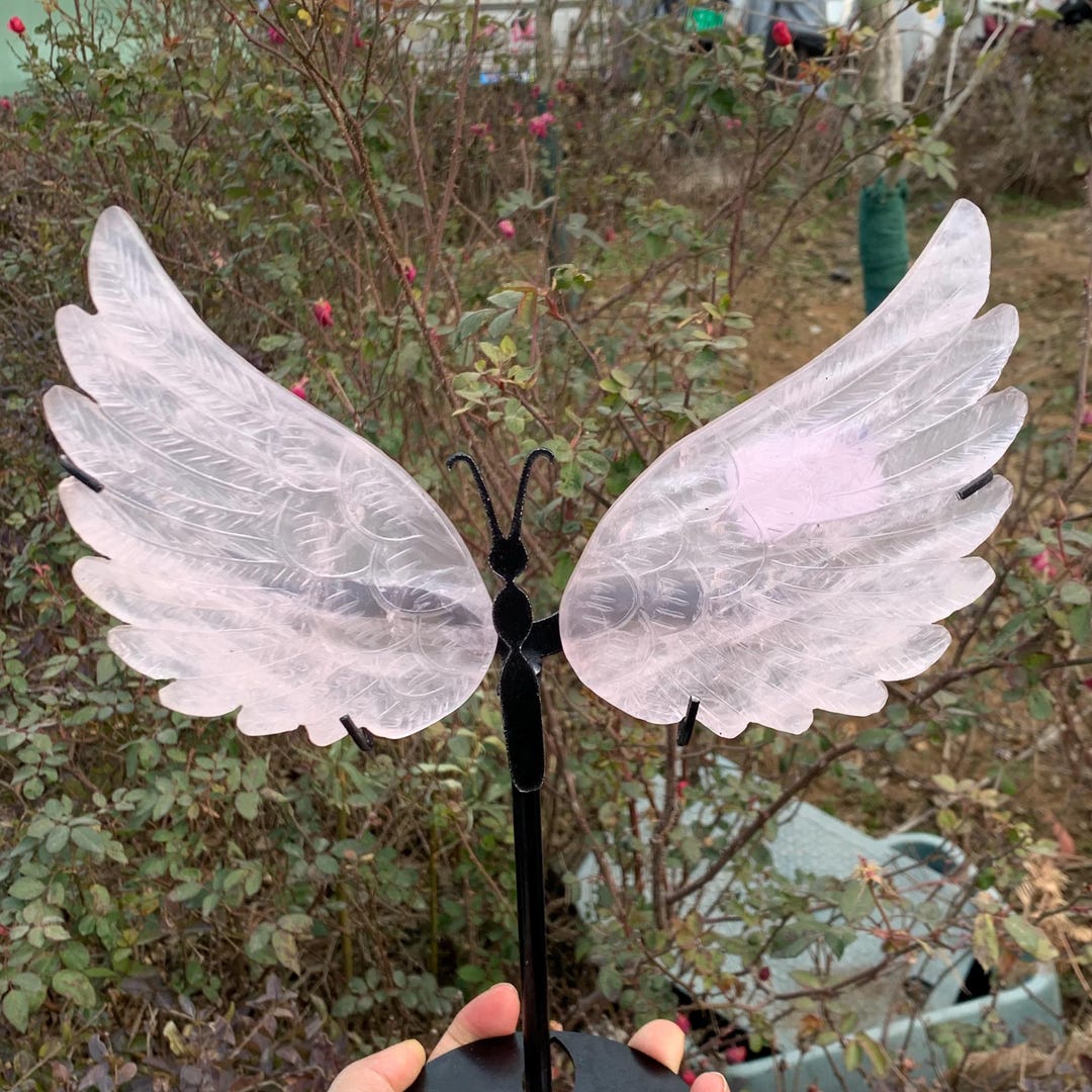 8200mm Natural Pink Rose Angel's Wings Hand Carved Angel Wing Skull ...