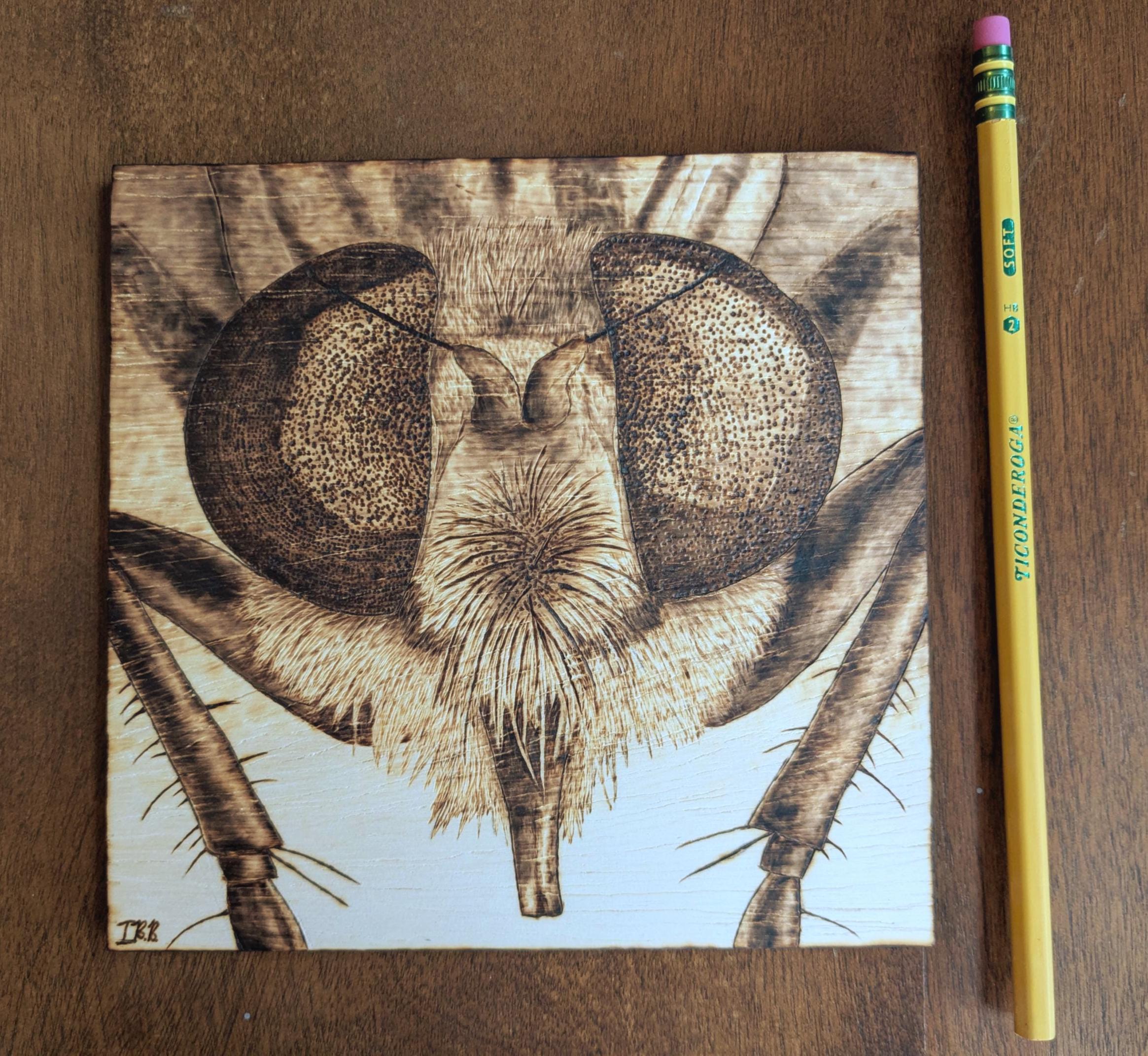 Handmade Wood Burned Insect on Wood Panel - Etsy