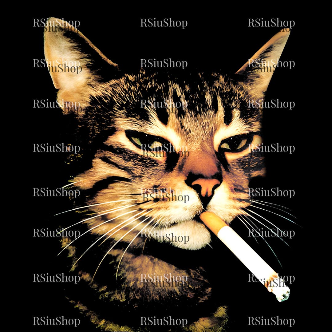 Funny Smoking Cat Meme Graphic, Cigarette Cat Svg Png, Gen Z Joke Tee ...