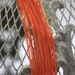 The Shiny Orange Chain - Etsy