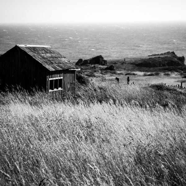 The Sea Ranch - Etsy