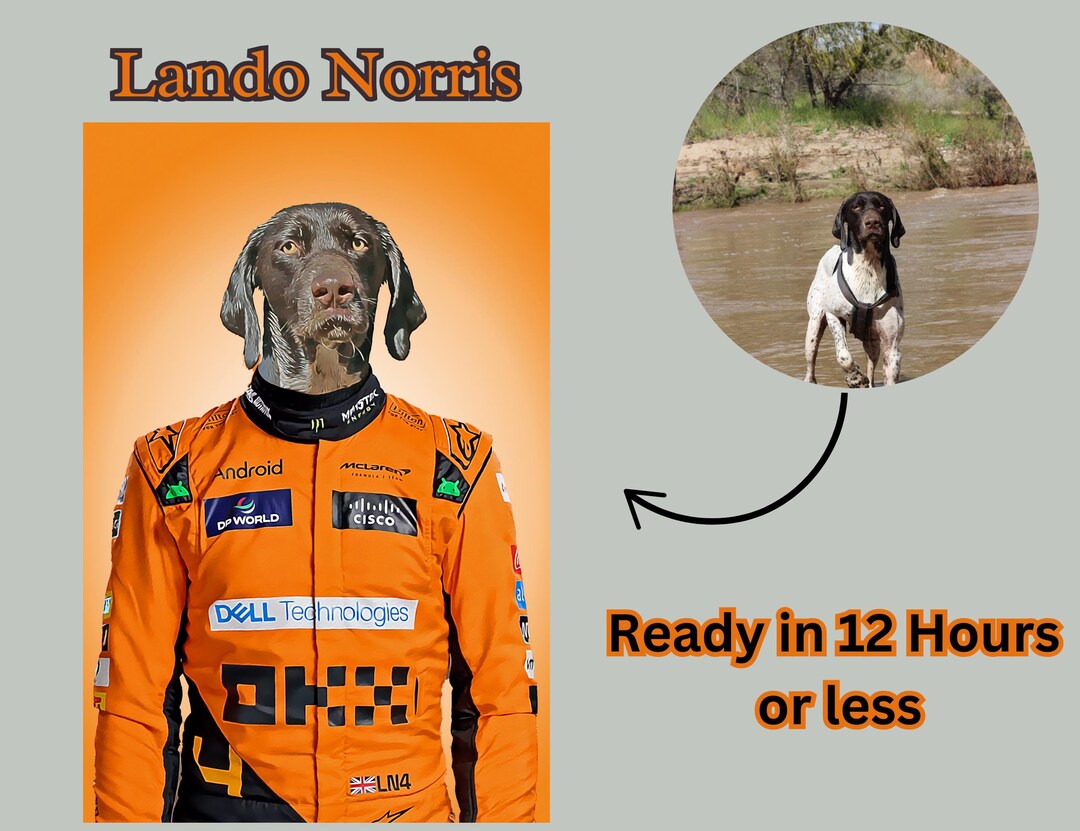 Lando Norris Custom Pet Portrait Formula 1 Dog Portrait Lando Norris ...