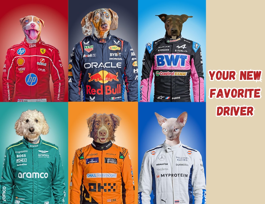 Custom Pet Portrait in F1 Driver's Uniform Personalized Formula 1 Dog ...