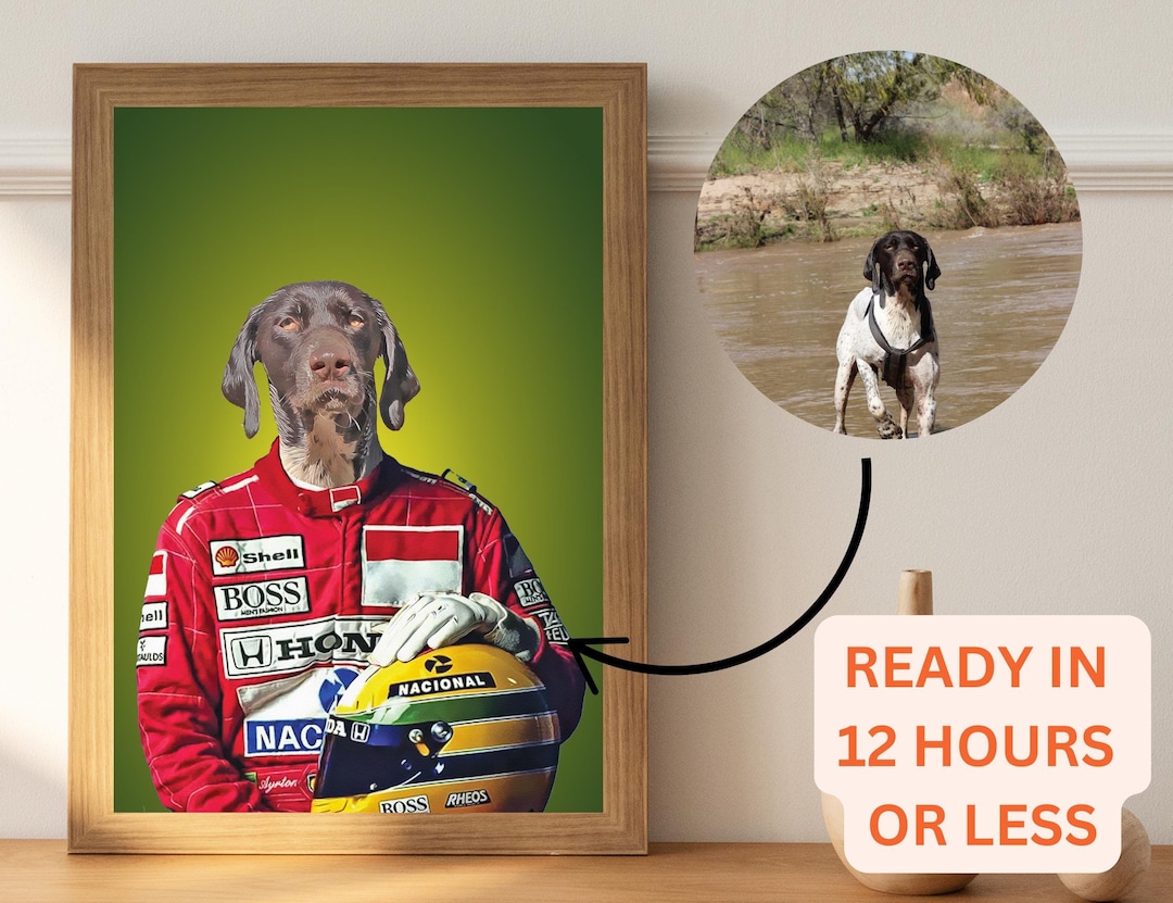 Custom Ayrton Senna Pet Portrait F1 Custom Dog Portrait Formula One Cat ...