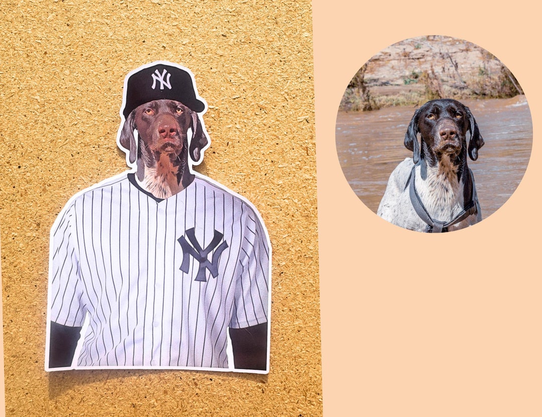 Custom New York Yankees Pet Stickers New York Yankees Decal - Etsy