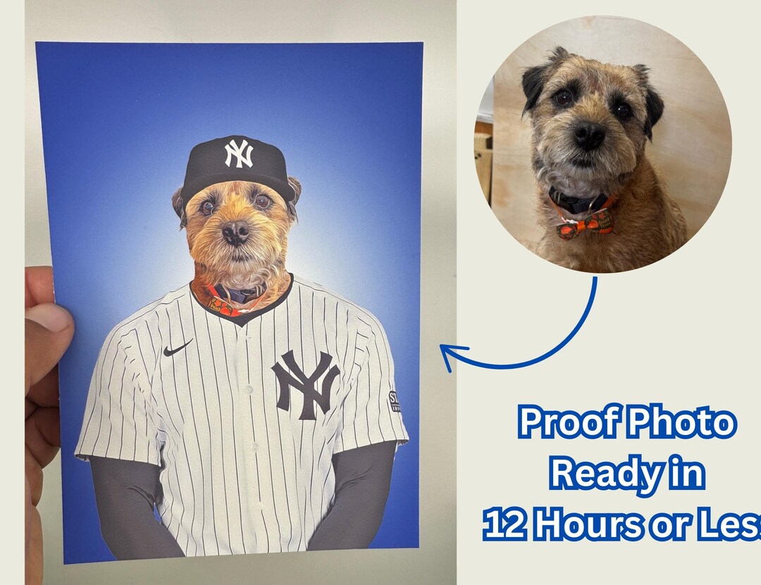 Custom New York Yankees Pet Portrait Custom Dog Portrait Custom Cat ...
