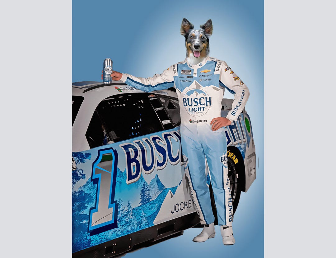 Custom Ross Chastain Pet Portrait NASCAR Portrait Cat Portrait Custom ...