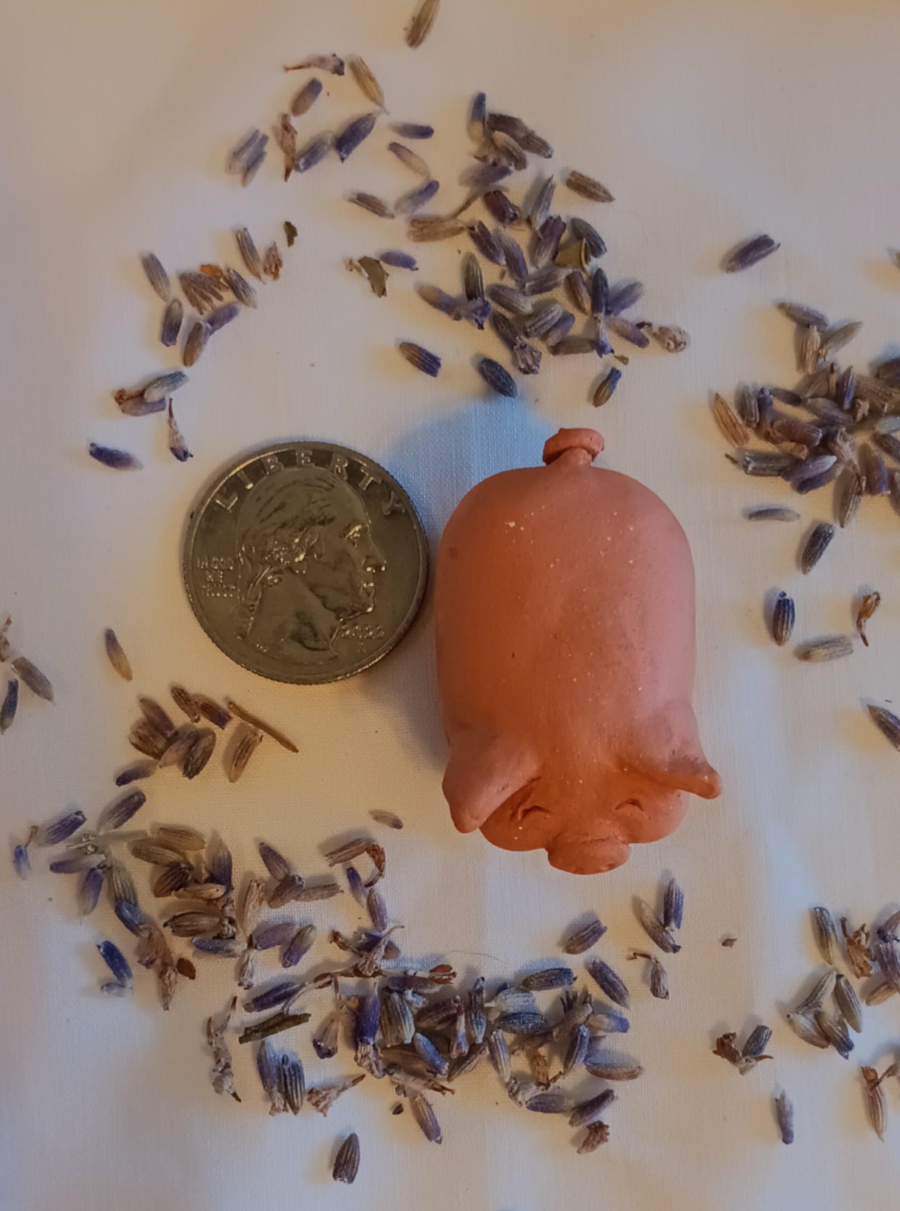 Pig Tea Pet Handmade Traditional Chinese Tea Pet Chachong Terracotta ...