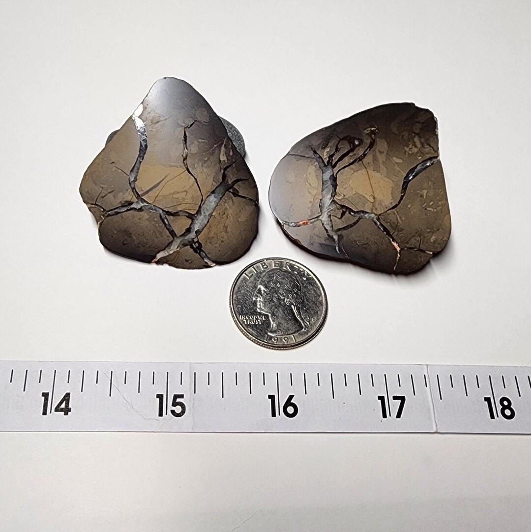 Michigan Lightning Stone, Polished Septarian Nodule - Etsy