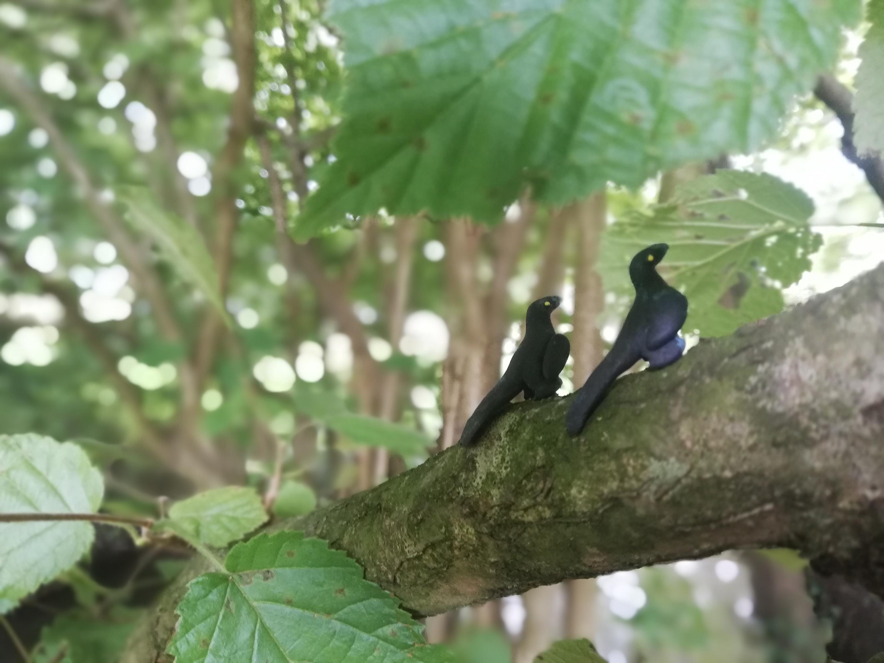 Microraptor Model - Etsy