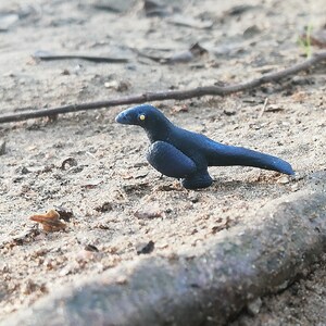 Microraptor Model - Etsy