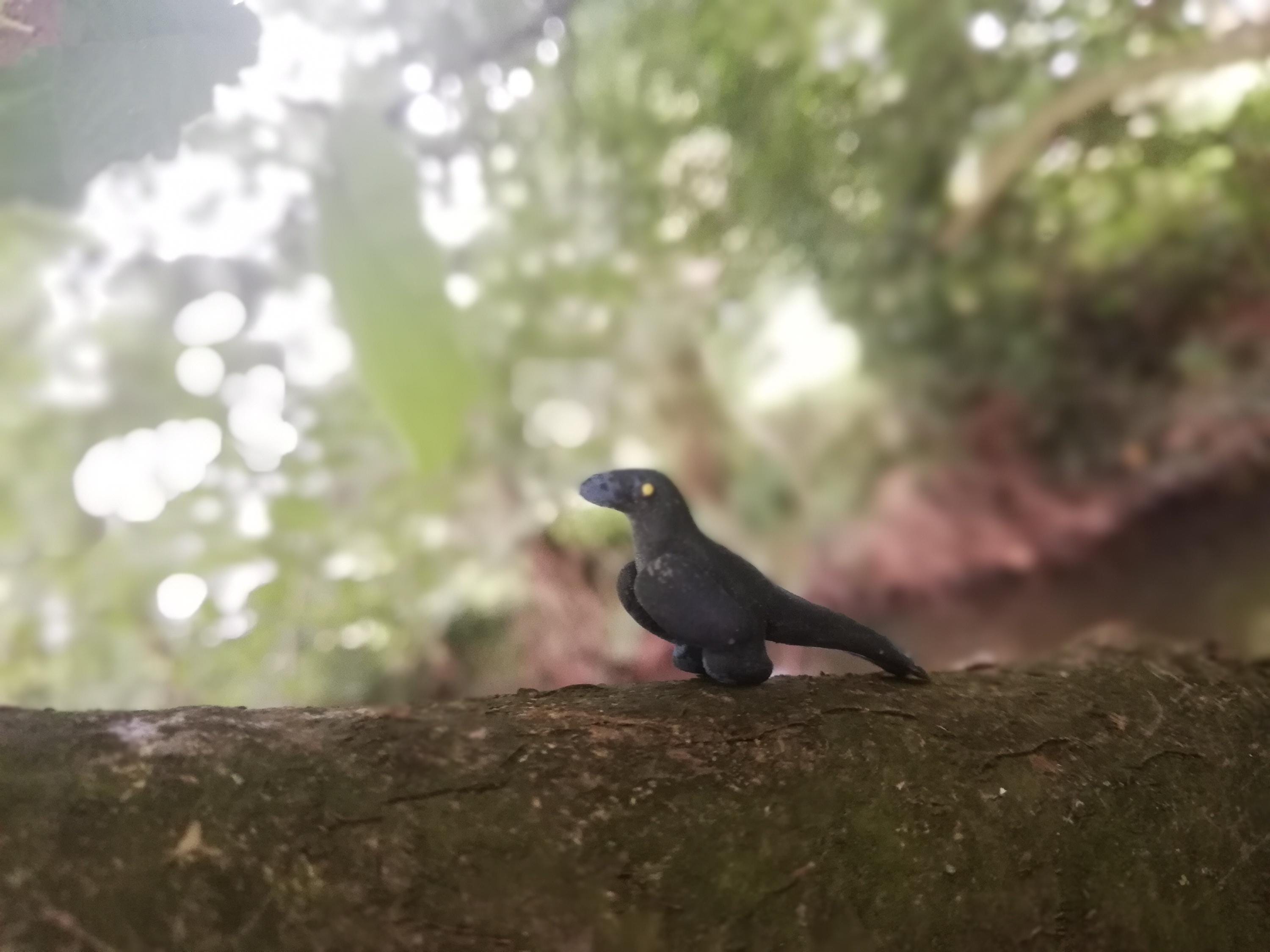 Microraptor Model - Etsy