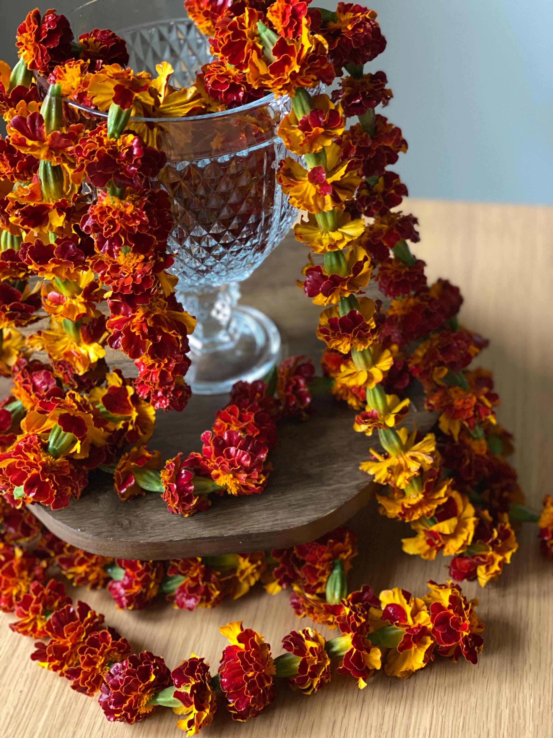 Dried Marigold Garlands - Etsy