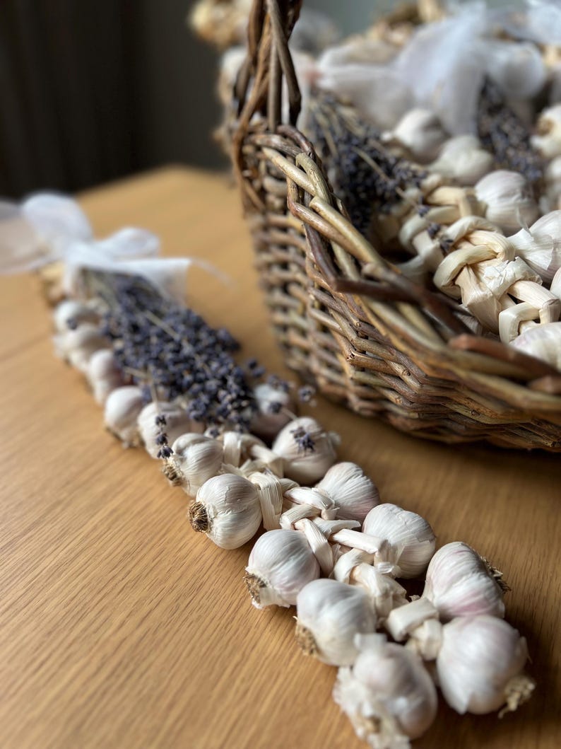 PRE-ORDER Garlic Braid, With Lavender, Home Decor, Fall Decor, Gift ...