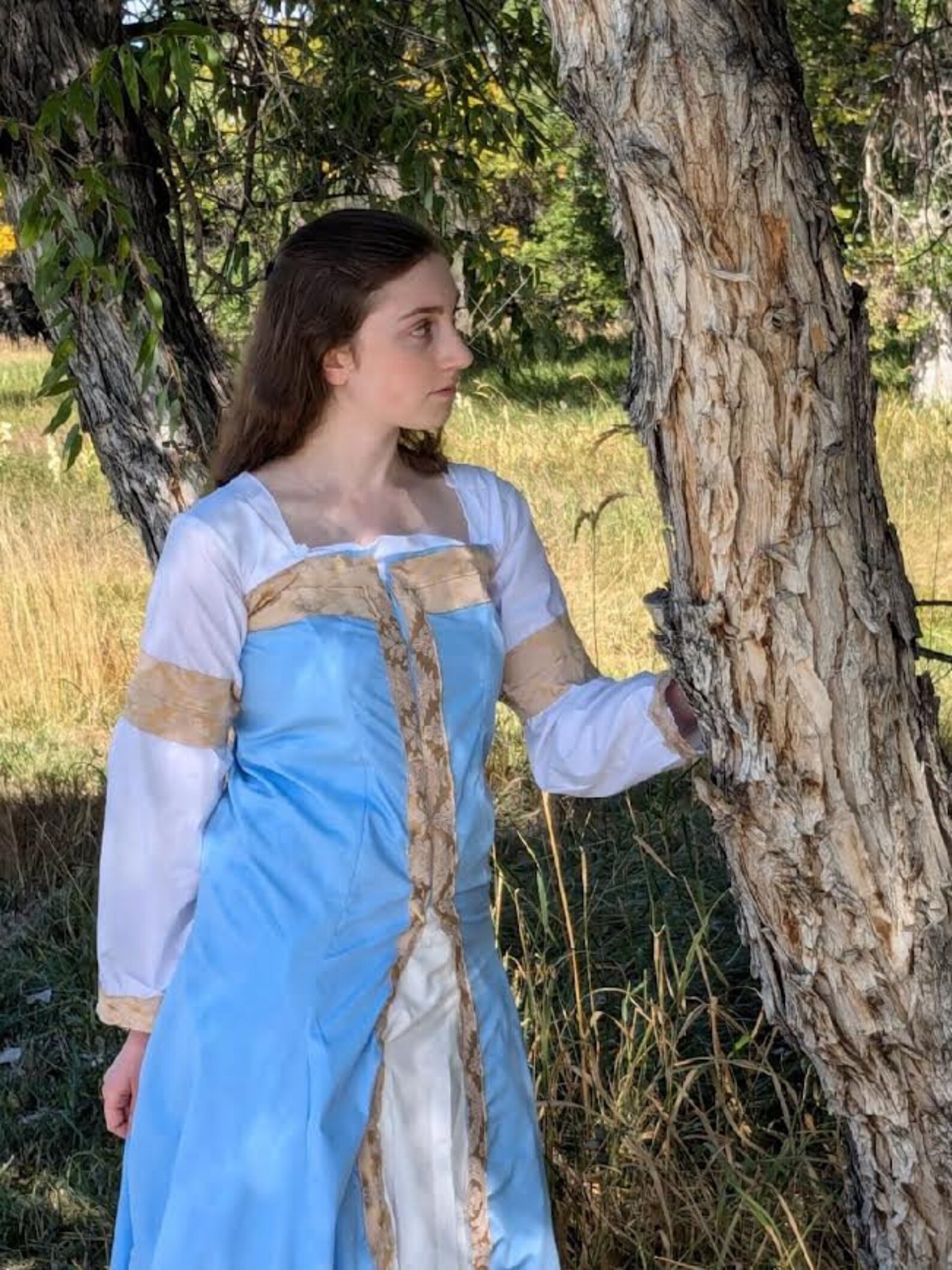 Susan Pevensie Medieval Narnia Farewell Dress Costume - Etsy