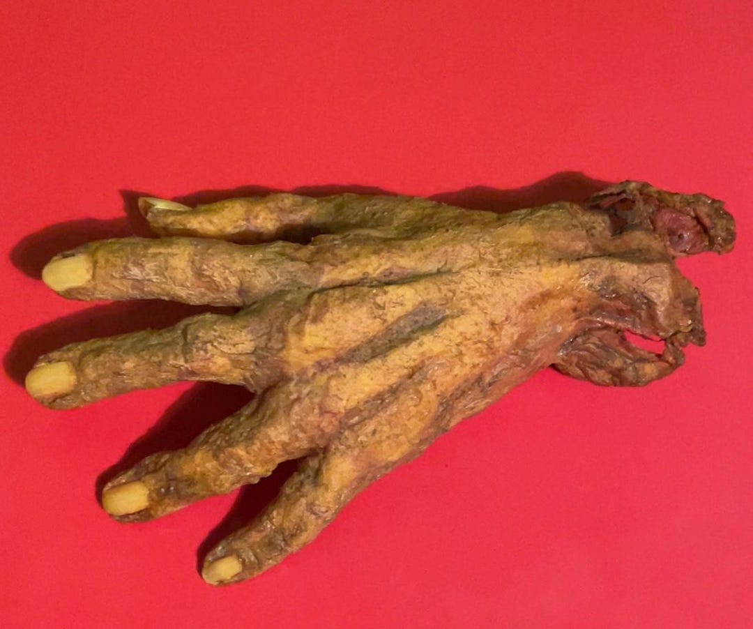 Creepy, Halloween Horror Prop Life Size Realistic Decomposing Zombie ...