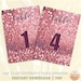 Pink Birthday Table Numbers Printable Reception Modern Table Numbers ...