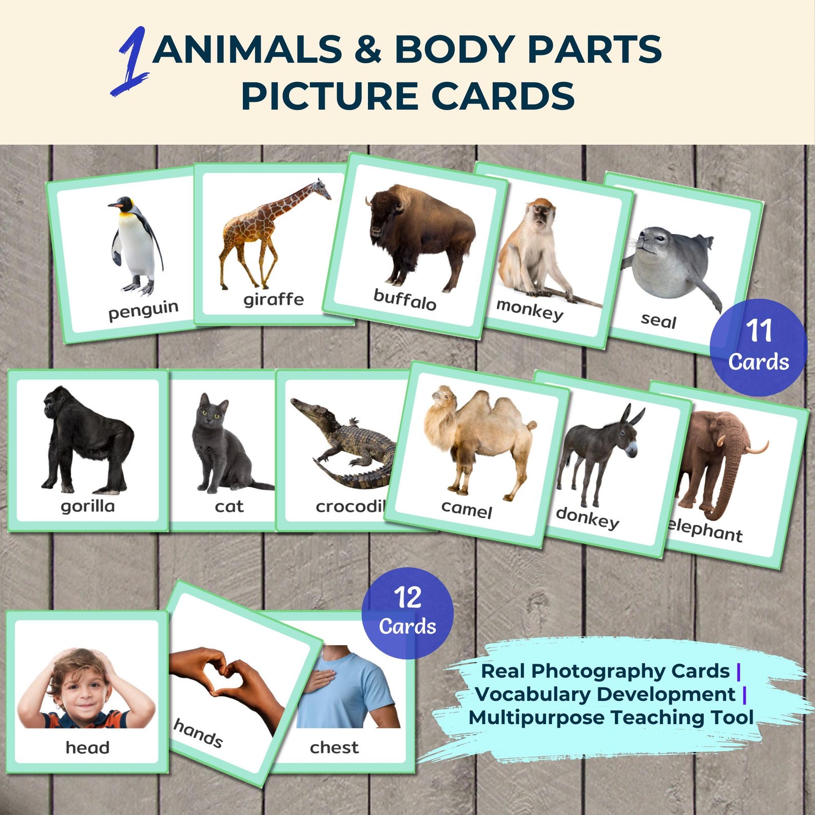 From Head to Toe Story Resource Pack | Printable Montessori-inspired ...