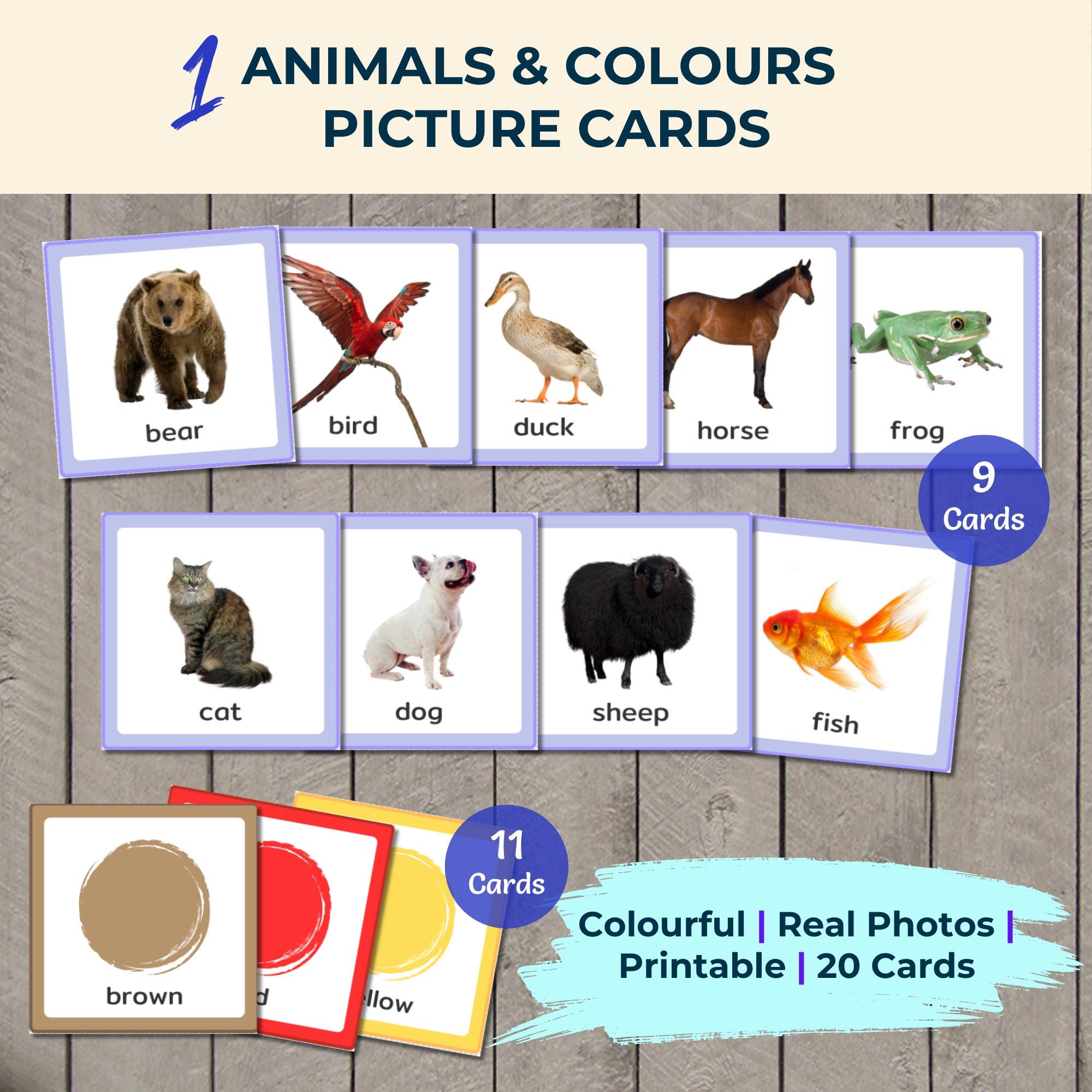 Brown Bear Story Resource Pack | Printable Montessori-inspired ...