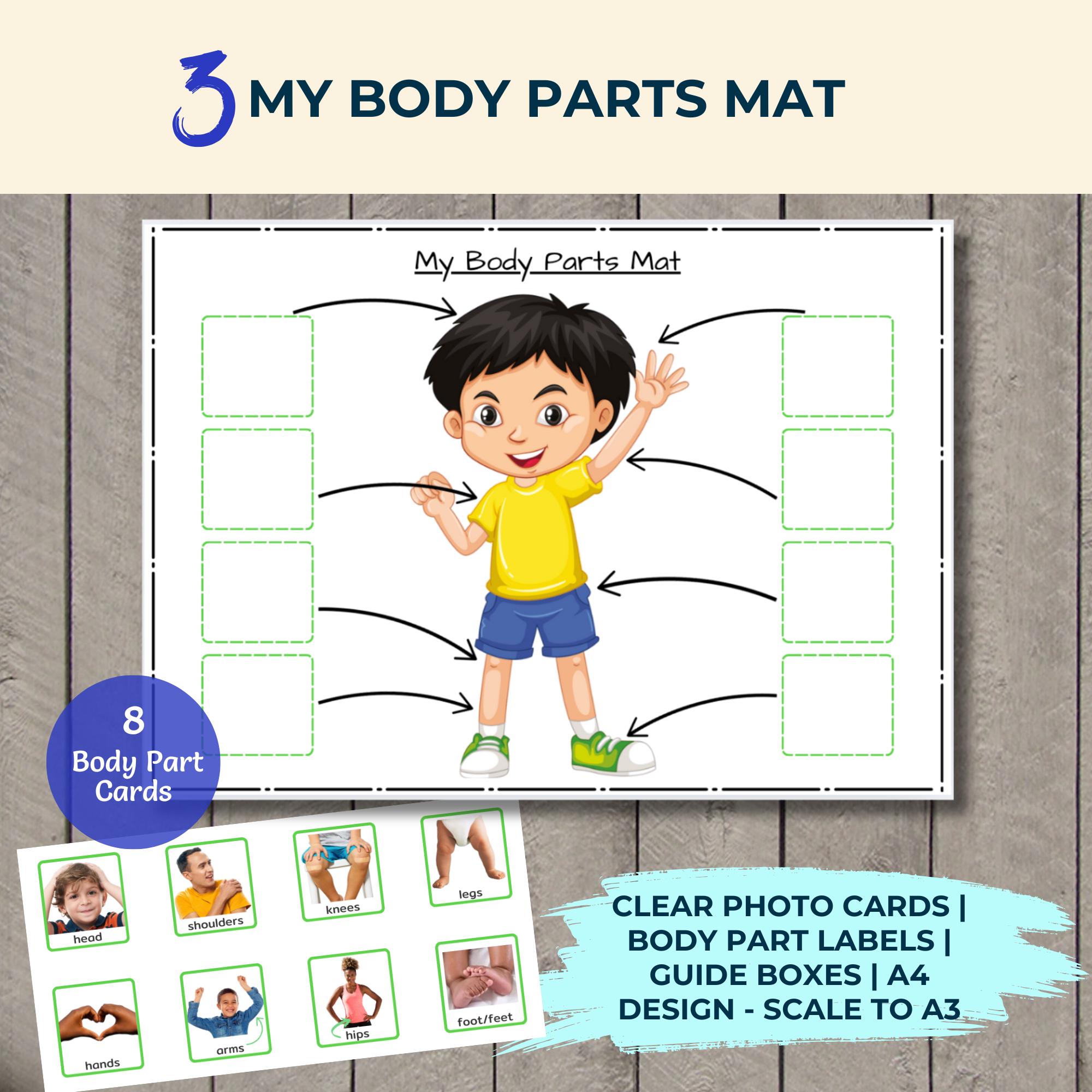 From Head to Toe Story Resource Pack | Montessori-inspired Materials ...