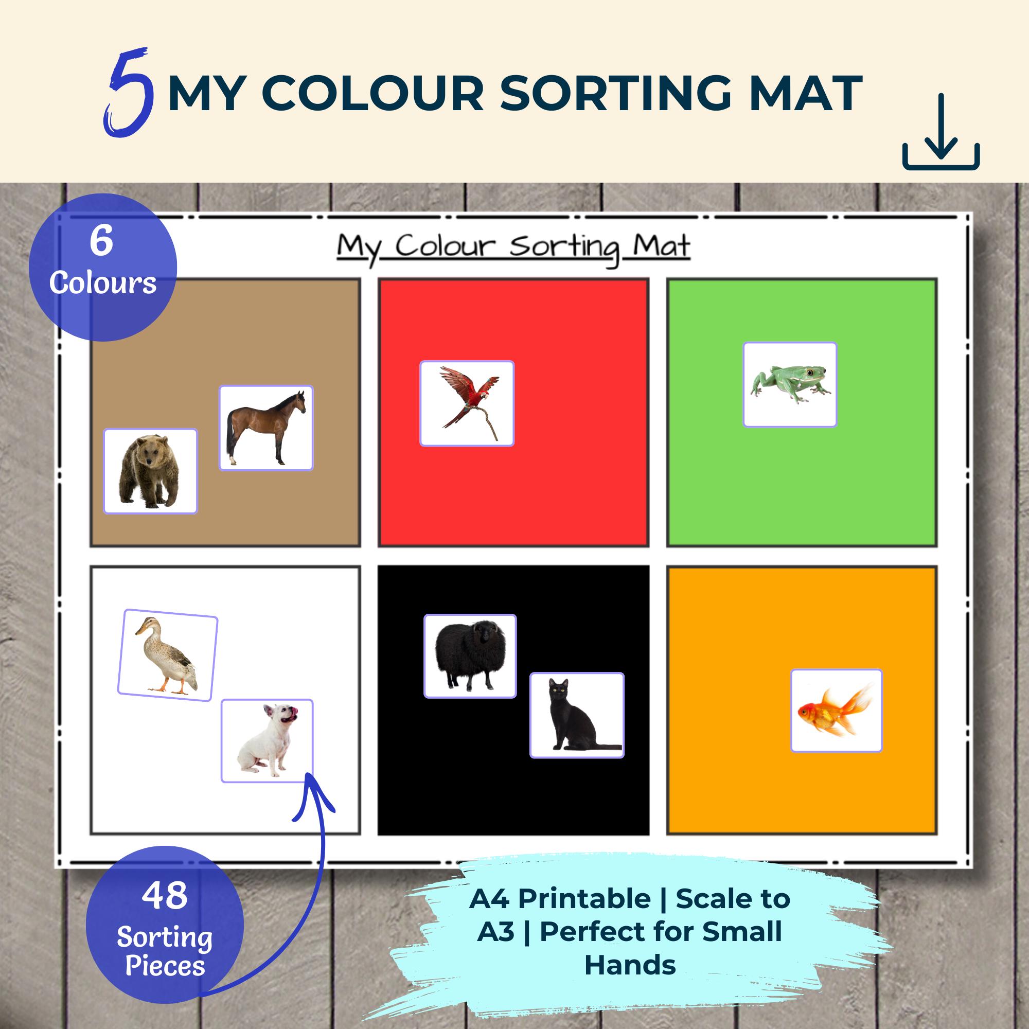 Brown Bear Story Resource Pack | Printable Montessori-inspired ...