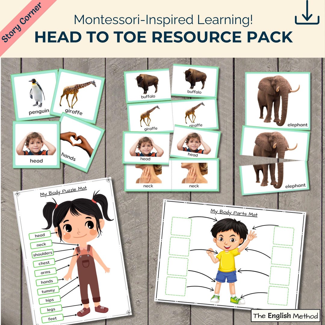 From Head to Toe Story Resource Pack | Printable Montessori-inspired ...