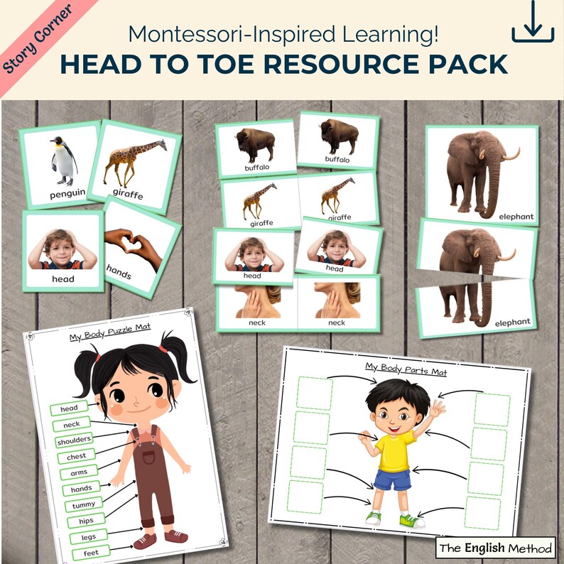 From Head to Toe Story Resource Pack | Printable Montessori-inspired ...