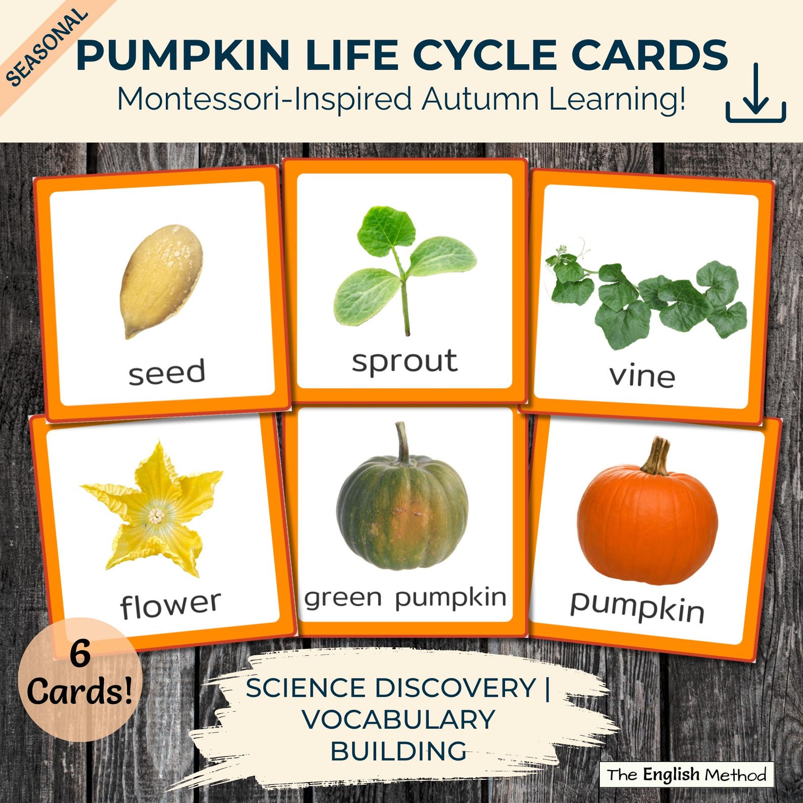 Pumpkin Life Cycle Cards | Real Photos | Early Biology | Preschool ...