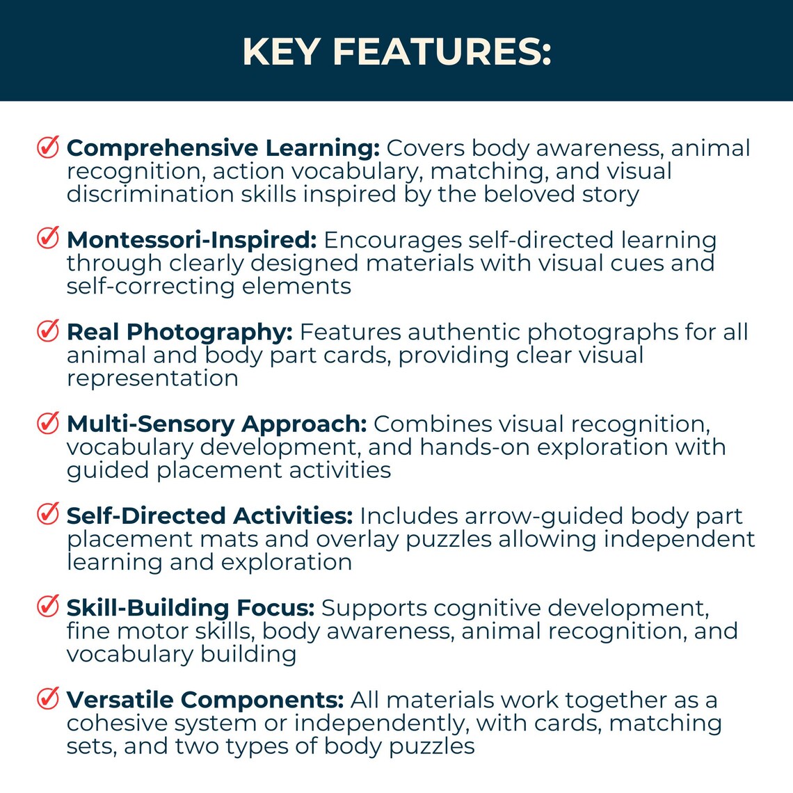 From Head to Toe Story Resource Pack | Printable Montessori-inspired ...