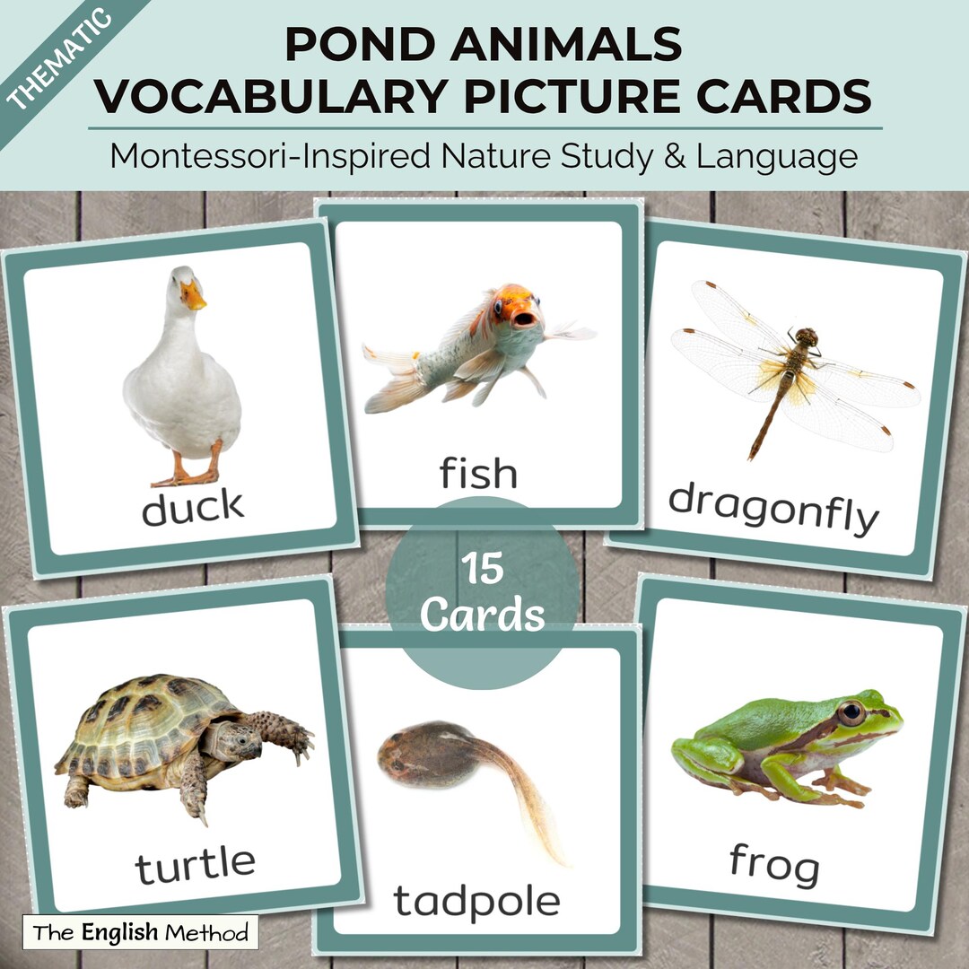 Pond Animals Vocabulary Picture Cards | Real Photos | Montessori ...
