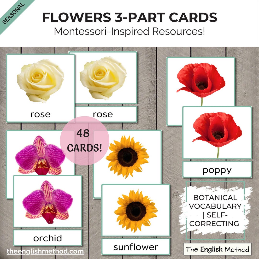 Flowers 3-part Cards | Montessori Language | Real Photos | Preschool ...
