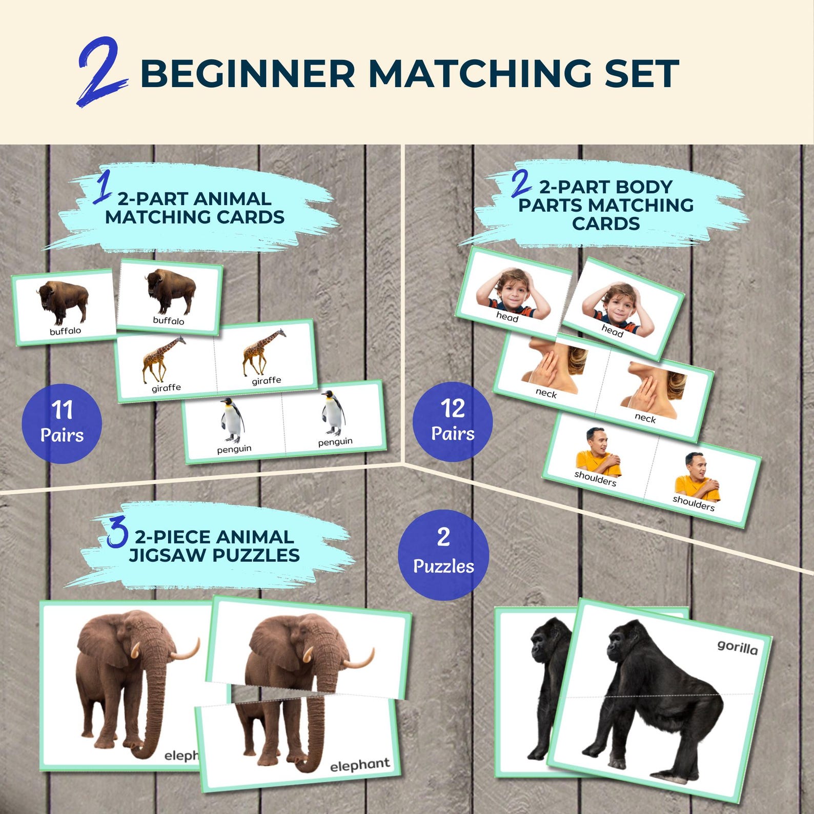 From Head to Toe Story Resource Pack | Printable Montessori-inspired ...