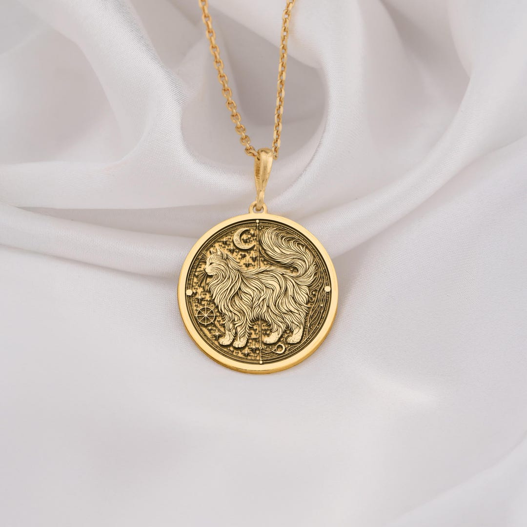 14K Gold Fluffy Cat Medallion Necklace, Sterling Silver Celestial Pet ...