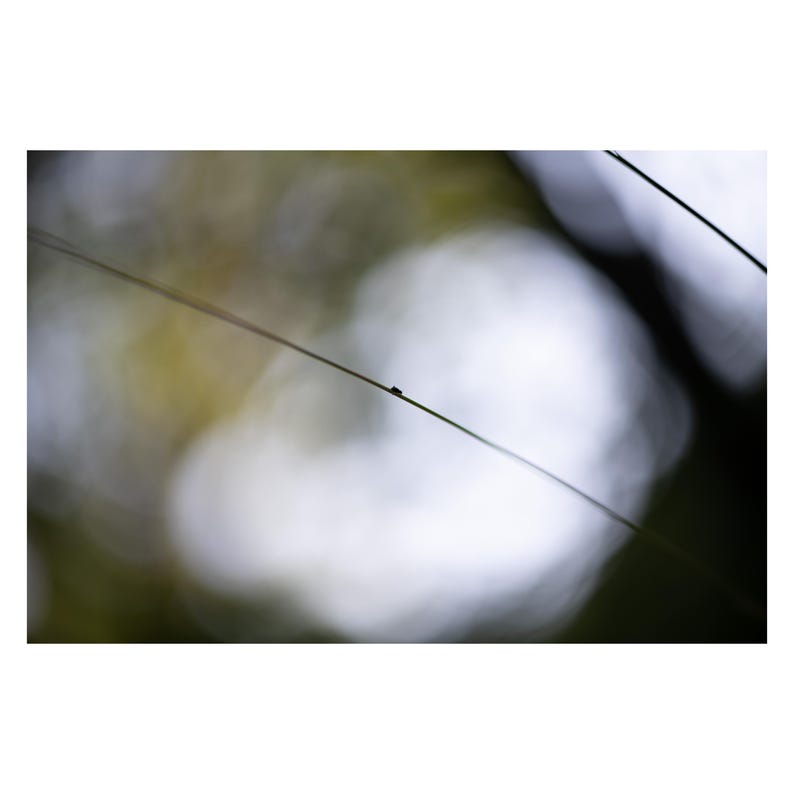 Microbits 1 Digital Print Wall Art Modern Home Decor Urio Amar Photography Fine Art Giclee ...