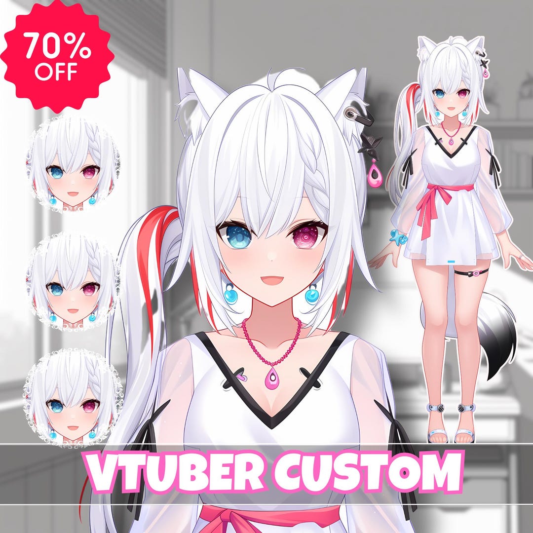 Custom Vtuber Model for Commercial Use, Vtuber Custom, Live 2D Vtuber ...
