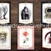 Providence Cards Poster: Shepherd King One Dark Window Series Art Print ...