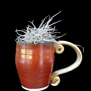 Hand-thrown Stoneware Pottery Coffee Mug, Rustic Fall Pot Belly Cup ...