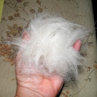Yarn Made With Your Dog’s or Cat’s Hair! Chiengora, Dog or Cat Hair ...